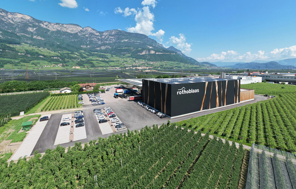 DESIGN OF TIMBER STRUCTURES